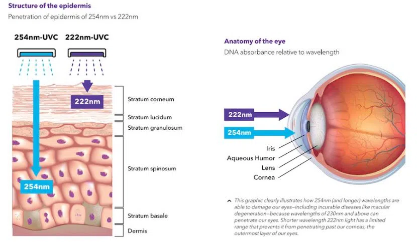 China Far UVC 222nm LED Tube Light Manufacturers, Factory - Customized ...