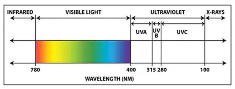China 365nm 360nm UV Led Strip Manufacturers, Factory - Customized ...
